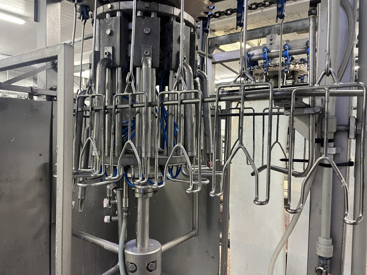 EMF evisceration line for poultry processing - Use Poultry Tech