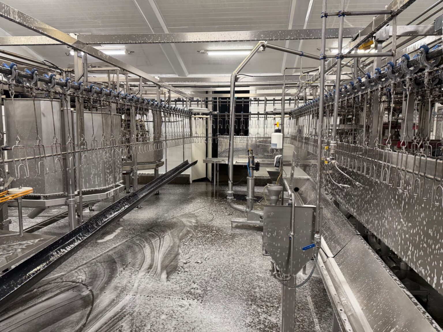 Full automatic LINCO Evisceration line. for poultry processing - Use ...