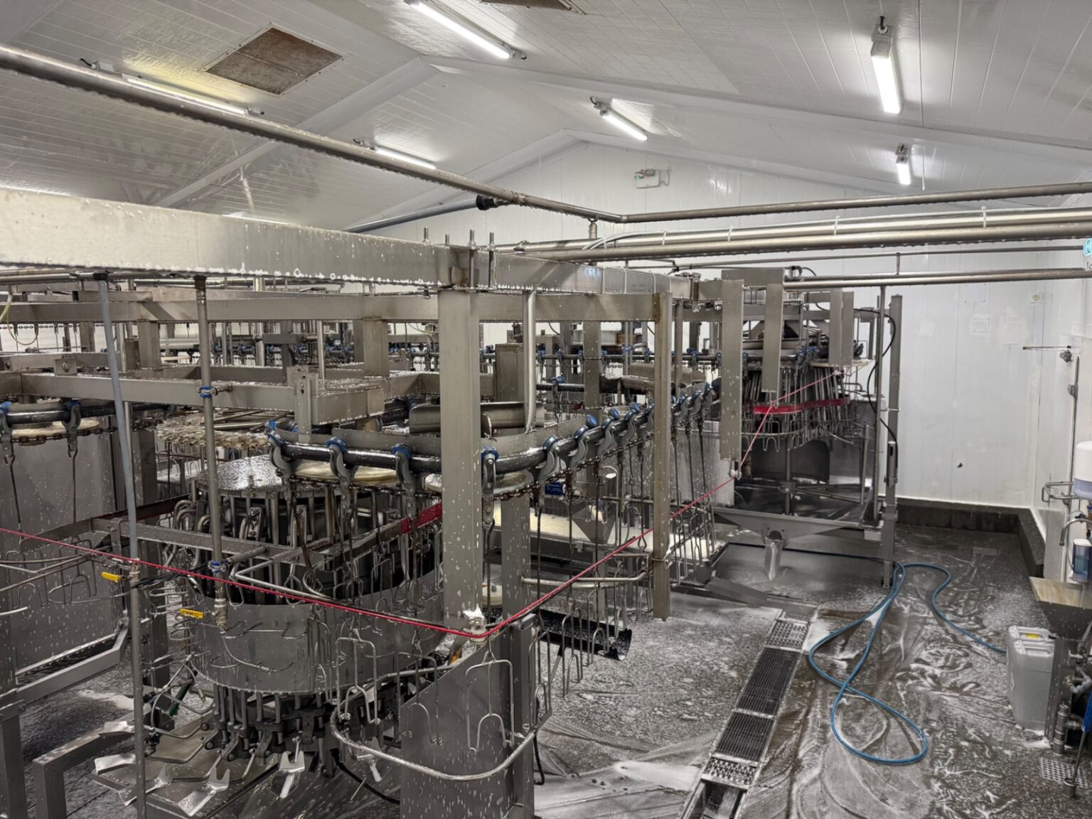 Full automatic LINCO Evisceration line. for poultry processing - Use ...