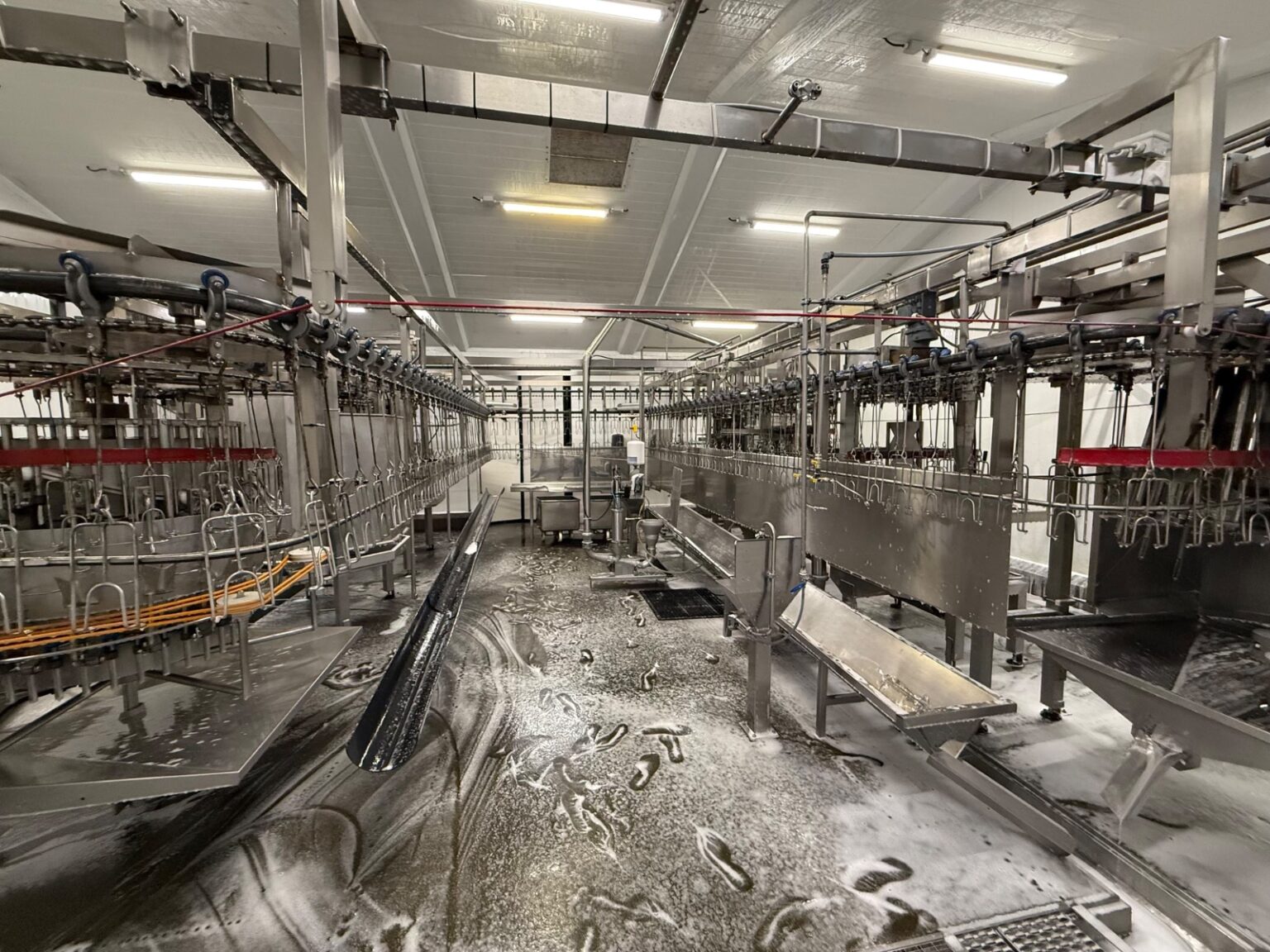 Full automatic LINCO Evisceration line. for poultry processing - Use ...